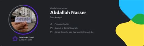 Abdallah Nasser On Linkedin Kaggle Datascience Notebookexpert Achievementunlocked