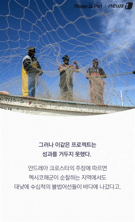 [펫카드] 지구상 12마리 남은 바다의 판다 바키타돌고래