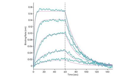 Octet® R2 System For Label Free Characterization Of Biomolecules Sartorius Croatia