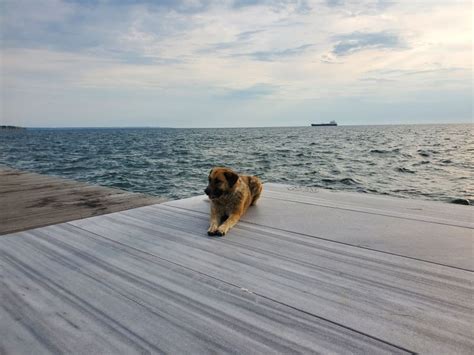 Mark Stringer On Linkedin 97agileideas Leadershipchallenges