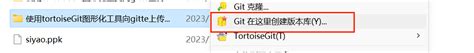 使用图形化工具tortoisegit上传代码至gitee仓库 Csdn博客