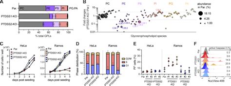 Phospholipid Imbalance Growth Retardation And Cell Death In