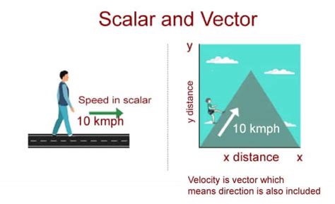 Difference Between Scalar Quantity And Vector Quantity Tpoint Tech