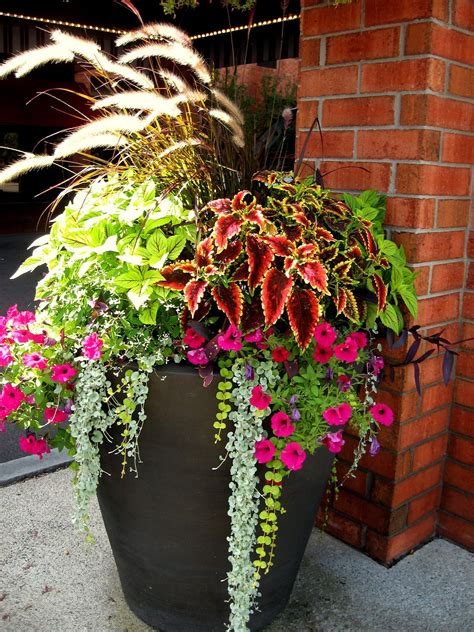 2 Gorgeous Outdoor Planter Container Gardening Porch Flowers Front Porch Flowers