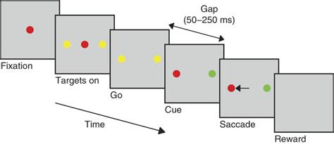 Sequence Of Events In The Compelled Saccade Task A Trial Is Correct If Download Scientific