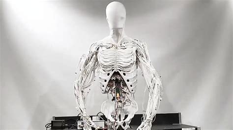 Clones Torso The Next Leap In Human Like Robotics