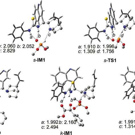 Optimized Structures Of Four Pre Transition State Complexes Download