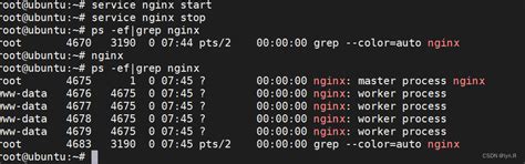 【linux】在ubuntu下部署nginx——nginx的安装与卸载