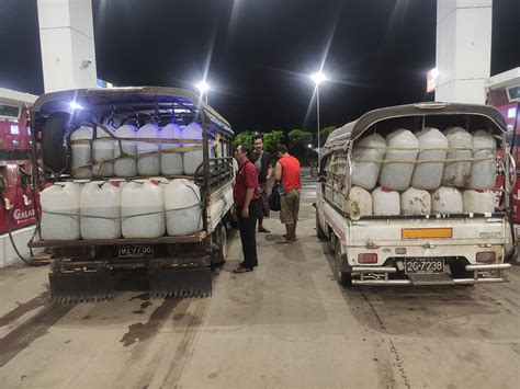 ေမြးျမဴေရးဆိုင္ရာ အခ်က္အလက္မ်ား ႏု႔ိထြက္ ႏြားမမ်ားအတြက္ အစာ ႏြားမမ်ားကို ႏို႔ခန္ းခ်ိန္ တြင္