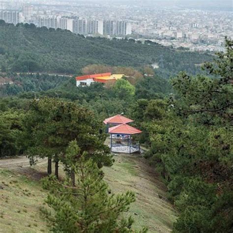 پارک جنگلی لویزان