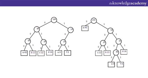 Binary Tree In Data Structure Briefly Explained