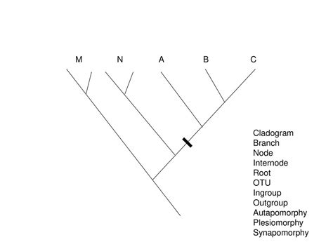 Intro Continued Ppt Download