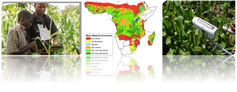 3 Uncommon Ways Ict Can Aid Delivery Of High Impact Agricultural