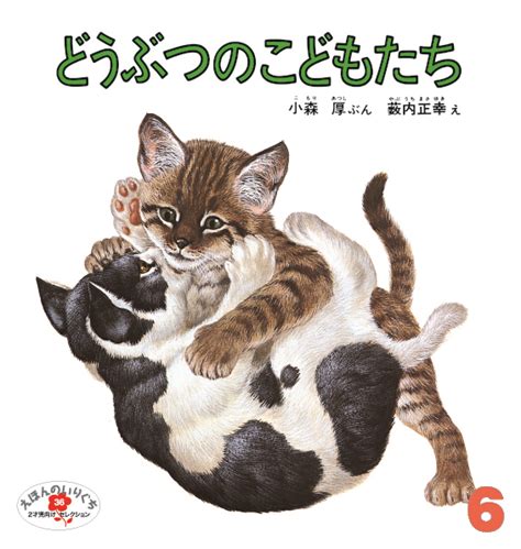 こどものともセレクション2025年3月号くものすおやぶん とりものちょう こどものとも ひろば