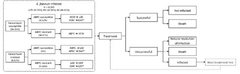 Model Schematic Patients With Enterococcus Faecium Infections Are