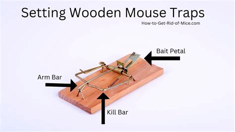 How To Set A Wooden Mouse Trap Without Pinching Your Finger