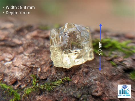 Fibrolite Rough Archives