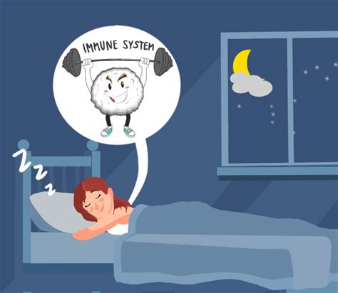 Sleep And Your Immune System What S The Connection Coastal Sleep