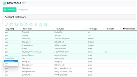Smart Salesforce Dictionary For Report And Metrics Mapping
