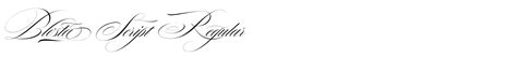 Blosta Font Webfont And Desktop Myfonts