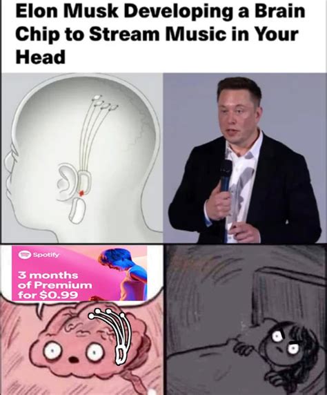 Neuralink Meme By Schizoidman Memedroid