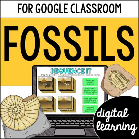 Fossils Activities Reading Passages For Google Classroom Glitter In Third