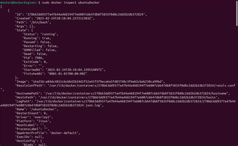 Docker Inspect Aprendiendo A Virtualizar