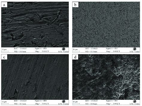 Topography Of Cp Ti And Ti 30ta Samples A Cp Ti Sample After Polish