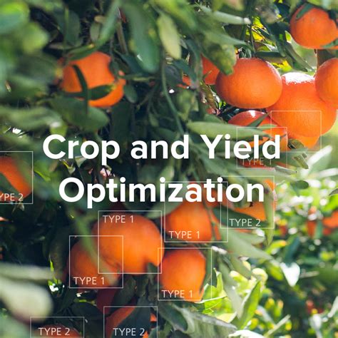 Agricultural Dataset Provider Digitaldividedata