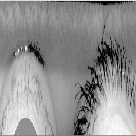 PDF Iris Recognition System