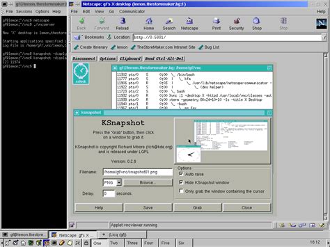 Vnc Browser Plugin Connected To X Server