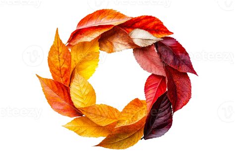Autumn Leaves In A Circular Pattern 58029643 Png