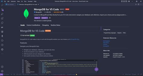 Vs Code Extensions Which Every Web Developer Must Have In 2022🚀 Quick博客