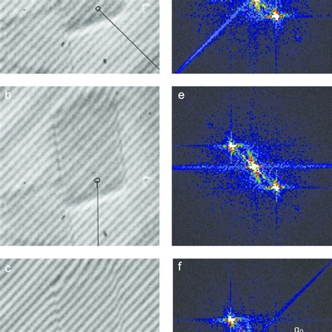 Basic Principle Of The Off Axis Electron Holography The Hologram In Download Scientific