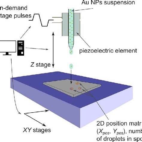 Scheme Of A Laboratory Built Drop On Demand Piezoelectric Dispenser For Download Scientific