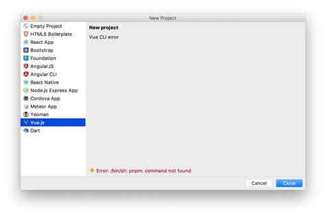 Nodejs Vue Create Application Gives Binsh Pnpm Command Not Found