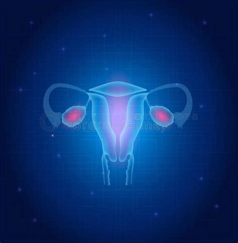 背景免抠元素 蓝色背景下的女性生殖系统示意图 蓝色背景下的女性生殖系统示意图图片免费下载 5155968002 千图网pro