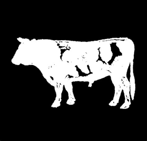 Python How To Undo The Rotation Of An Image Stack Overflow