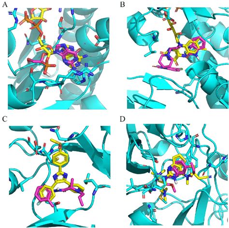 Docking Poses Of The Predicted Target Drug Pairs Using Reverse Docking