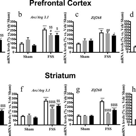 Analysis Of Iegs Expression In The Prefrontal Cortex And Striatum Of