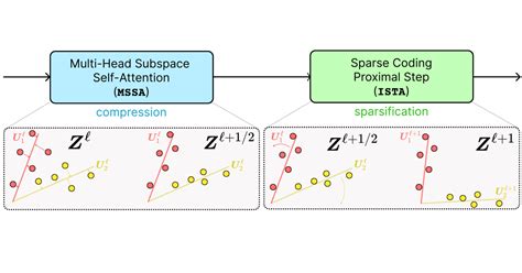 white box transformers via sparse rate reduction