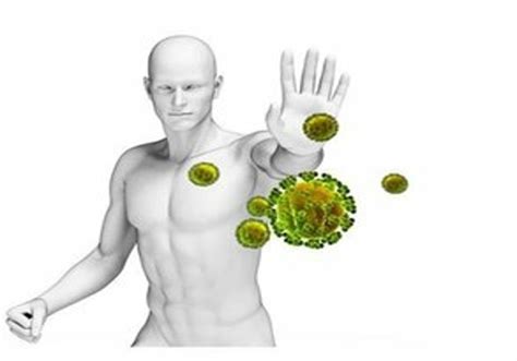 黑蚂蚁的营养价值作用与功效 360新知