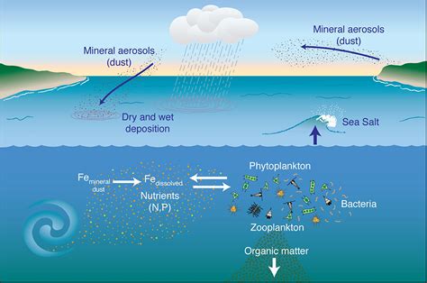 Schematic Of Dust Distribution Across The Ocean Woods Hole Oceanographic Institution