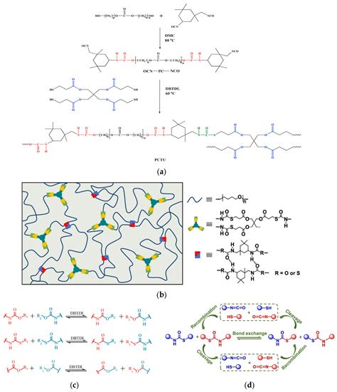 Polymers Free Full Text Improving Sustainability Through Covalent Adaptable Networks In The
