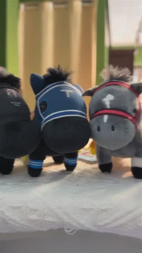 紙鳶 🏡 我們很高興地宣布，我們的小店正式開幕！在這裡，您可以沉浸在獨特的日本小物和文具中，讓每一天都充滿靈感與快樂 地址：澳門渡船街113號 歡迎來店探索每一件小寶藏，我們迫不及待想與您