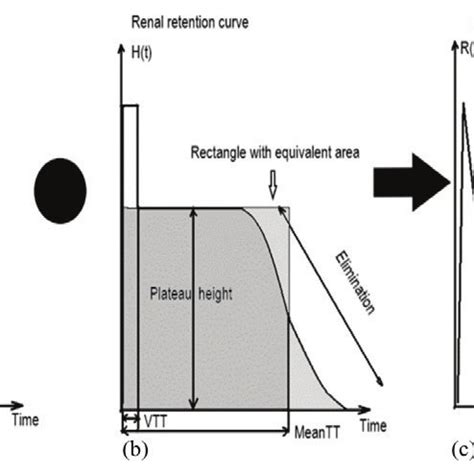Schematic Representation Of The Convolution Process A The Impulse Download Scientific
