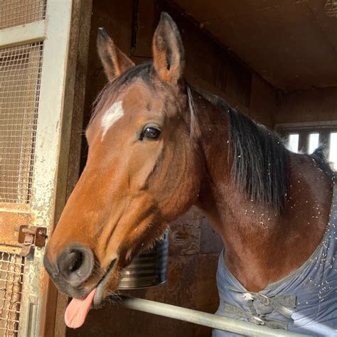 1221水ドレミフォンと対面 馬主＋株のブログ。旅行とグルメとたまに競馬予想