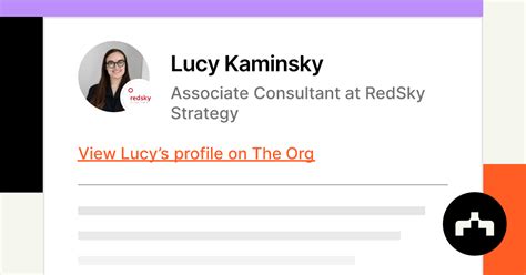 Lucy Kaminsky Associate Consultant At Redsky Strategy The Org