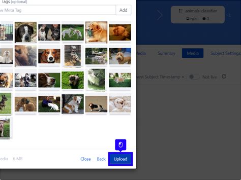 Creating A Classification Application