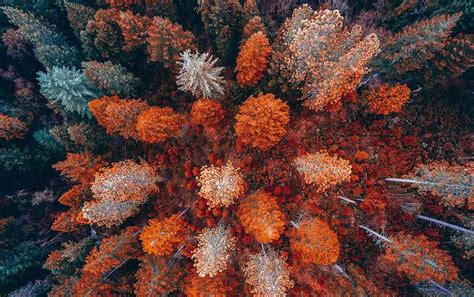 Невероятные фото с высоты птичьего полёта